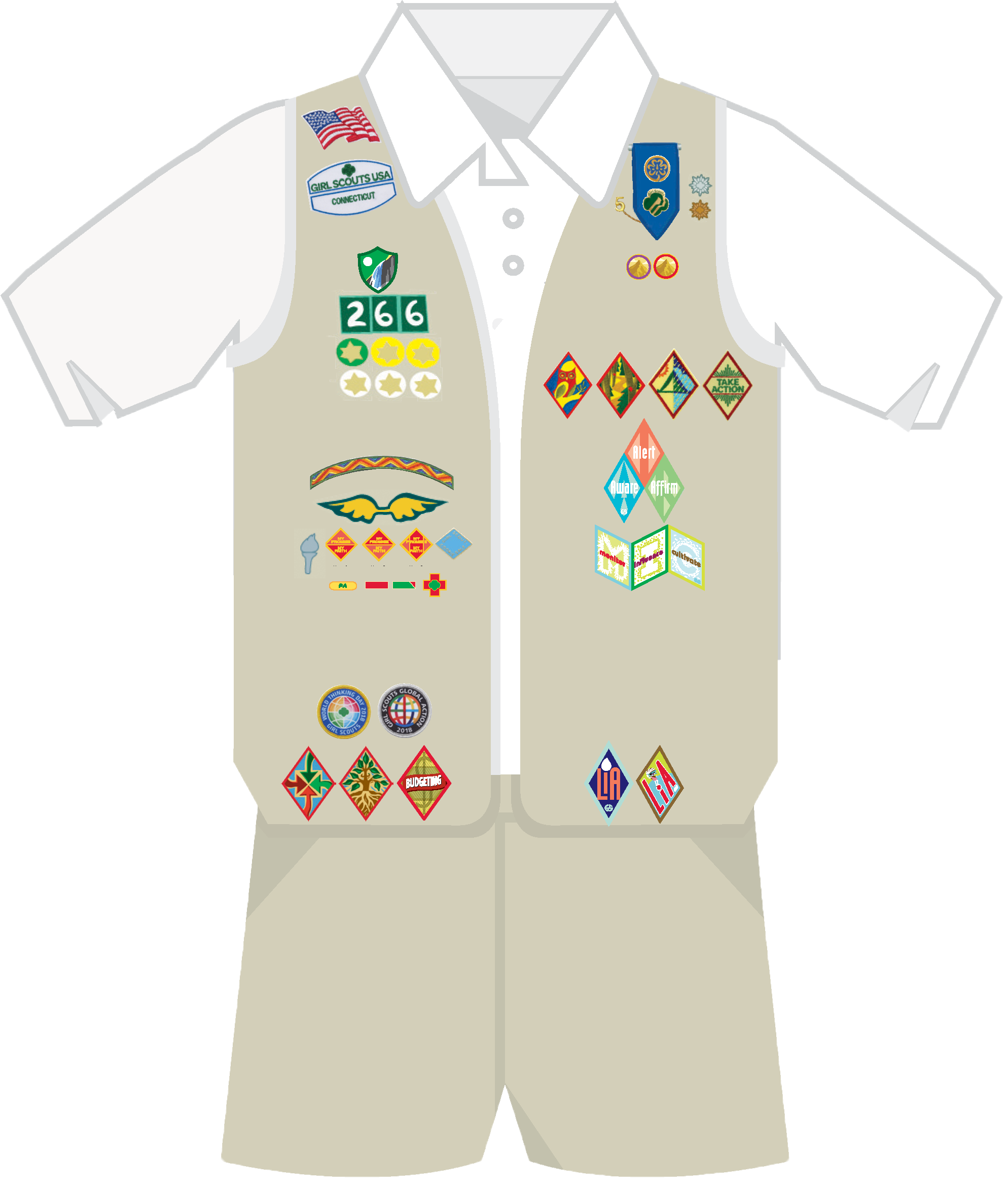 Uniform Basics from Daisies to Ambassadors – GSCCC Blog