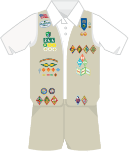 Uniform Basics from Daisies to Ambassadors – GSCCC Blog