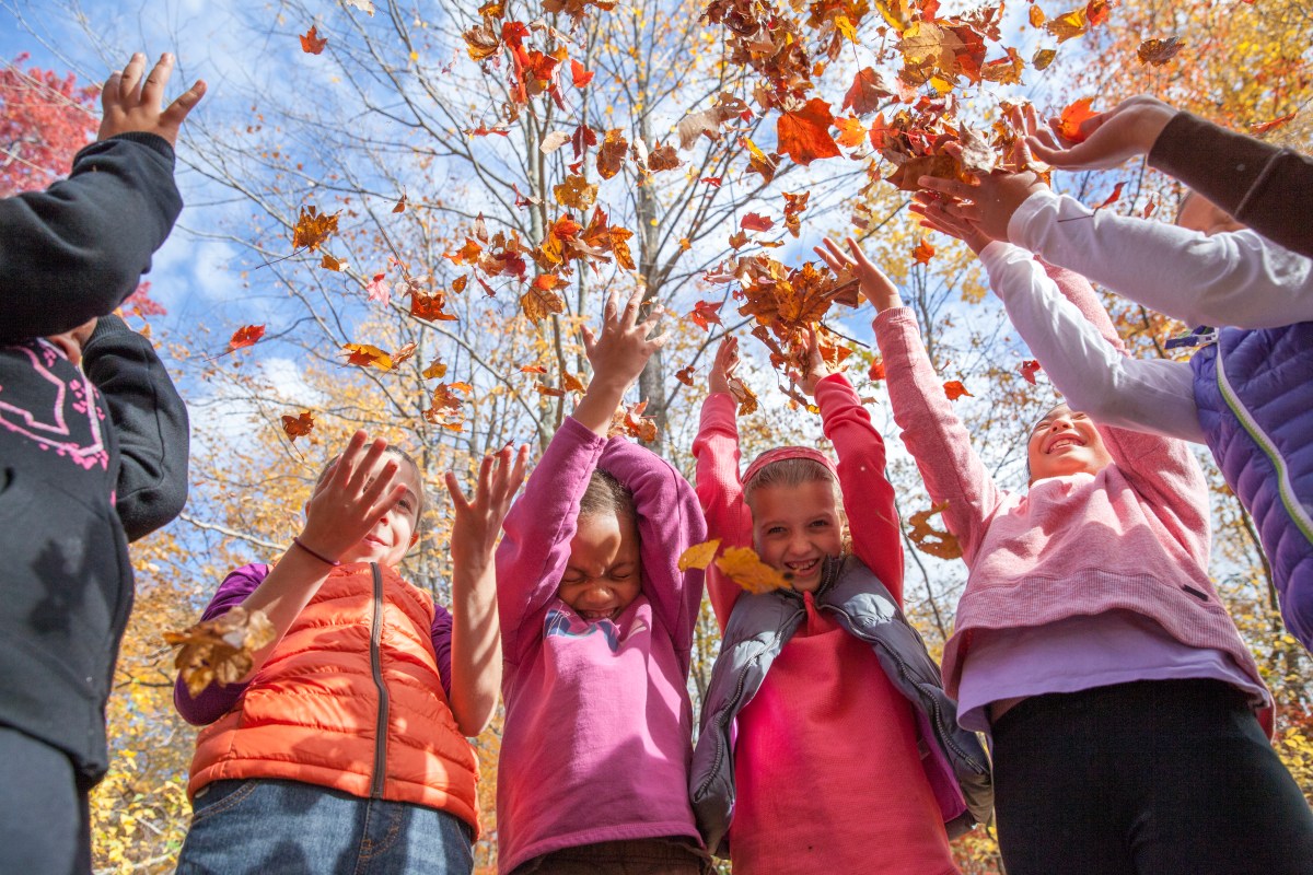 FALL PRODUCT PROGRAM – GSCCC Blog